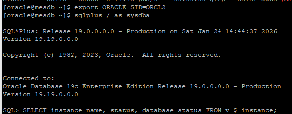 Oracle数据库部署多实例-CSDN博客