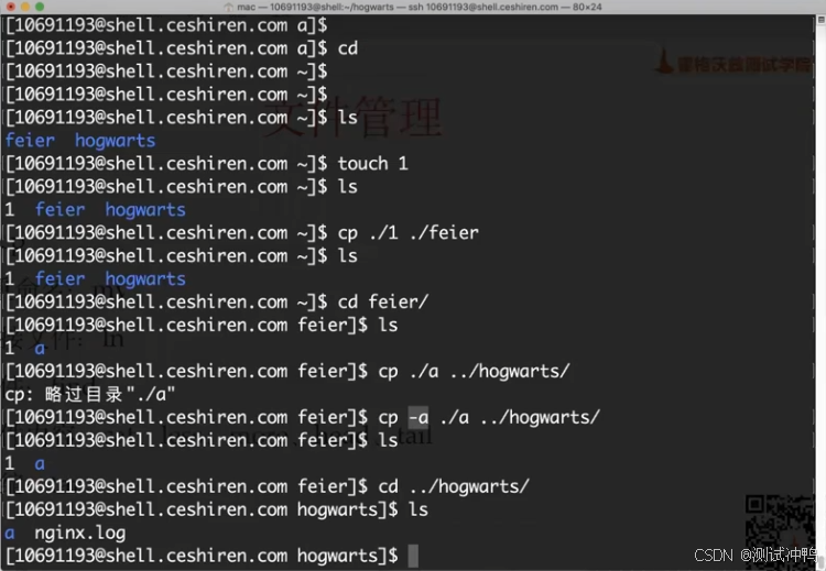 【可实战】Linux 常用命令之文件处理：ssh、ls、cd、pwd、mkdir、touch、rm、cp、mv、ln、find、cat、tail、tar、echo、＞、chmod ...