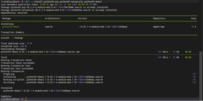 搭建了一个开发fastapi应用的环境_pip install "fastapi[standard]-CSDN博客