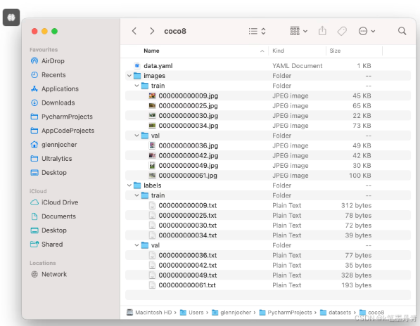 YoloV10学习笔记_neu-seg数据集下载-CSDN博客