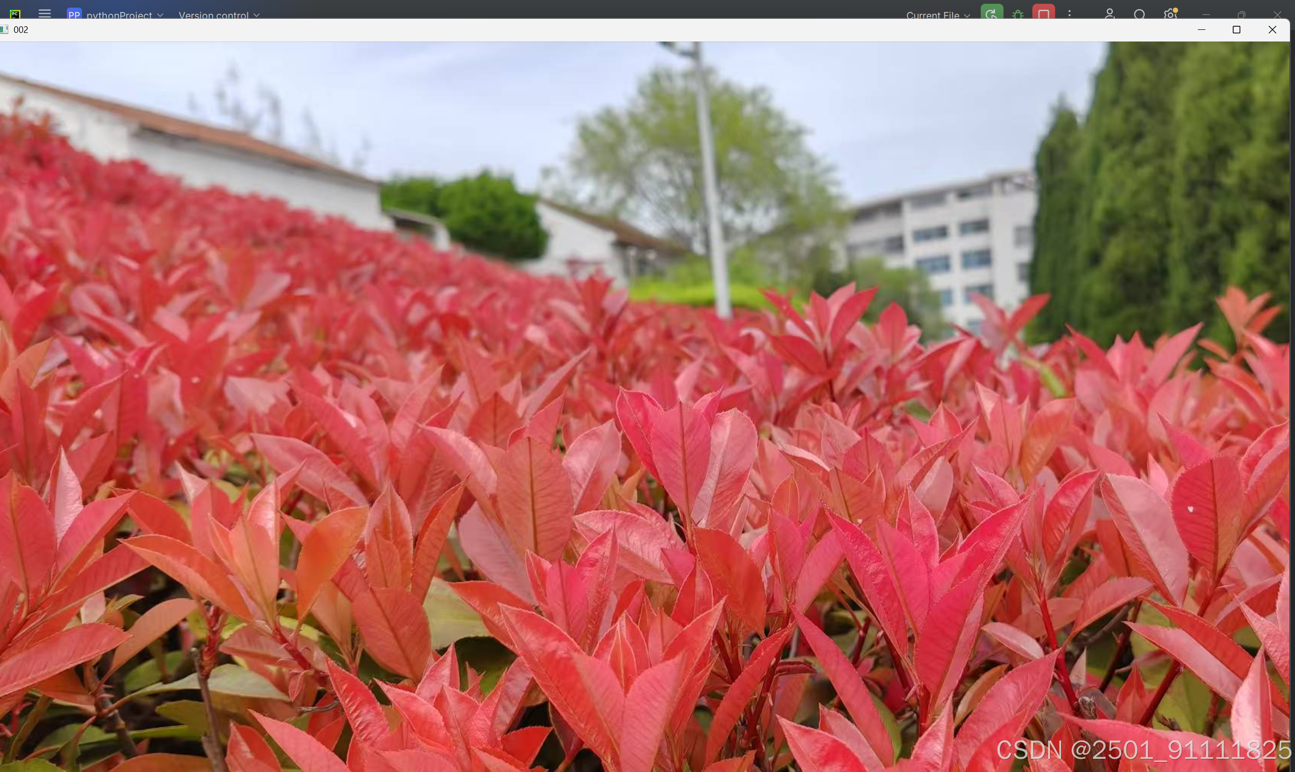 DIP1:用OpenCV和matplotlib读取图像_matplotlib如何读取图像-CSDN博客