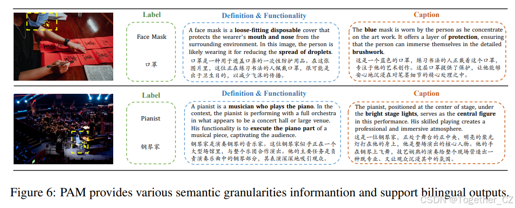 PAM：Perceive Anything: Recognize, Explain, Caption, and Segment Anything in Images and Videos感知 ...