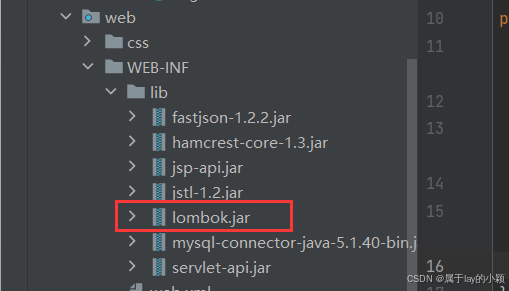 idea如何使用Lombok_lombok idea-CSDN博客
