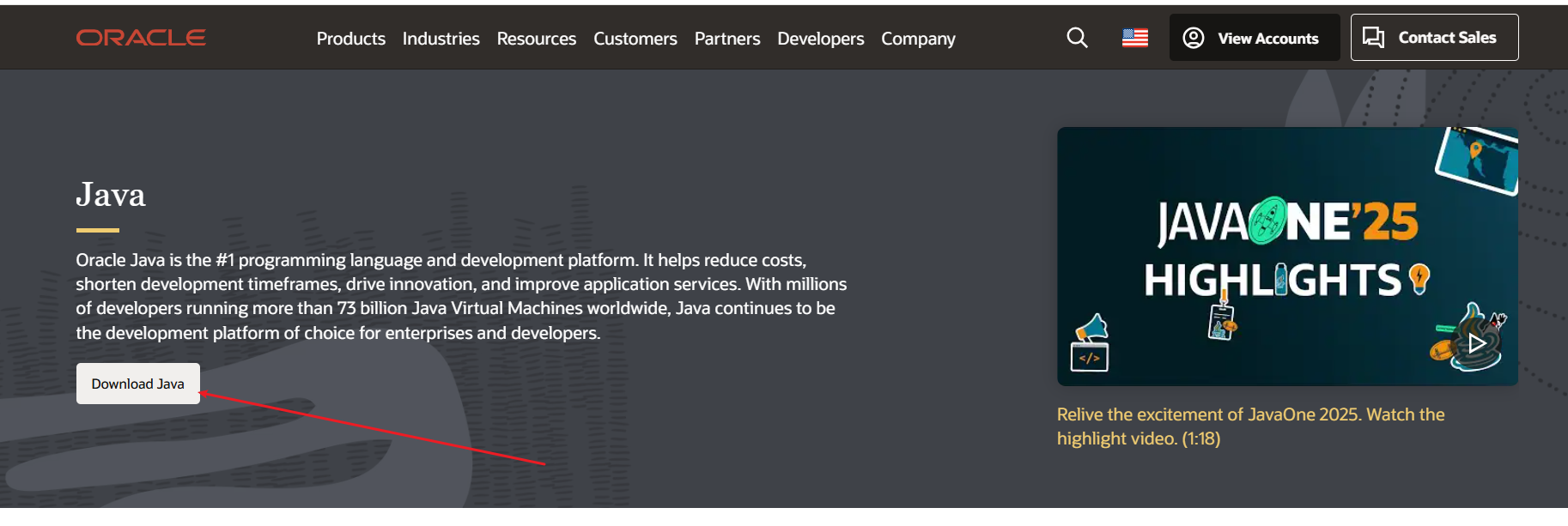 【2025 年最新版】Java JDK 安装与环境配置教程（附图文超详细，Windows+macOS 通用）_jdk最新版本-CSDN博客