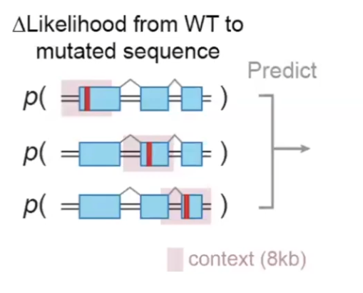 Evo2 论文讲解_基因 模型 evo2-CSDN博客
