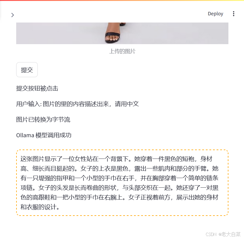 使用ollama ,Streamlit构建图像上传和聊天模型应用_ollama 上传图片-CSDN博客