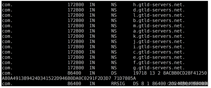 dns基本介绍_dns介绍的文档-CSDN博客