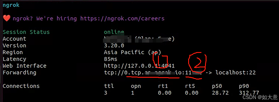 使用ngrok进行内网穿透，实现跨局域网ssh连接，并通过pycharm进行代码同步_ngrok ssh-CSDN博客