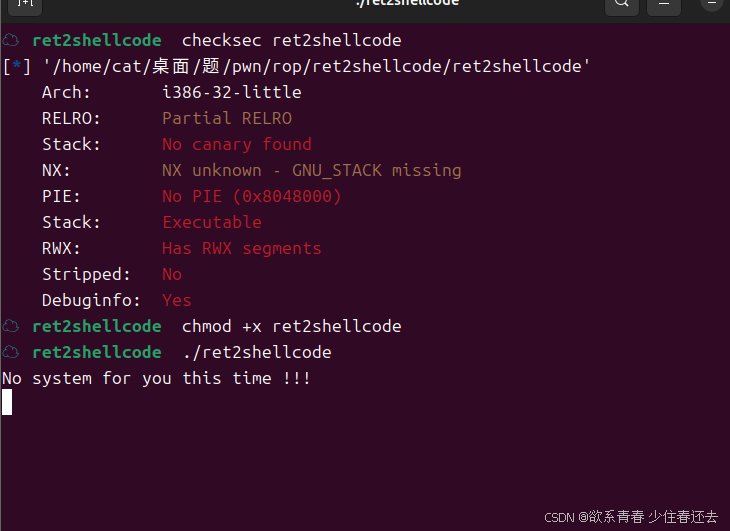 [ret2shellcode]-CSDN博客