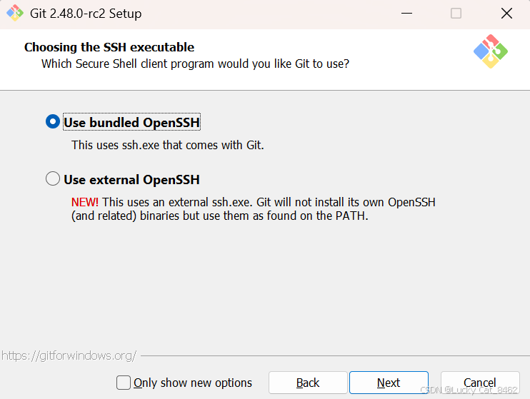 【2025年超详细】Git 系列笔记-1 Git简述、Windows下git安装、Linux下git安装_windows git-CSDN博客