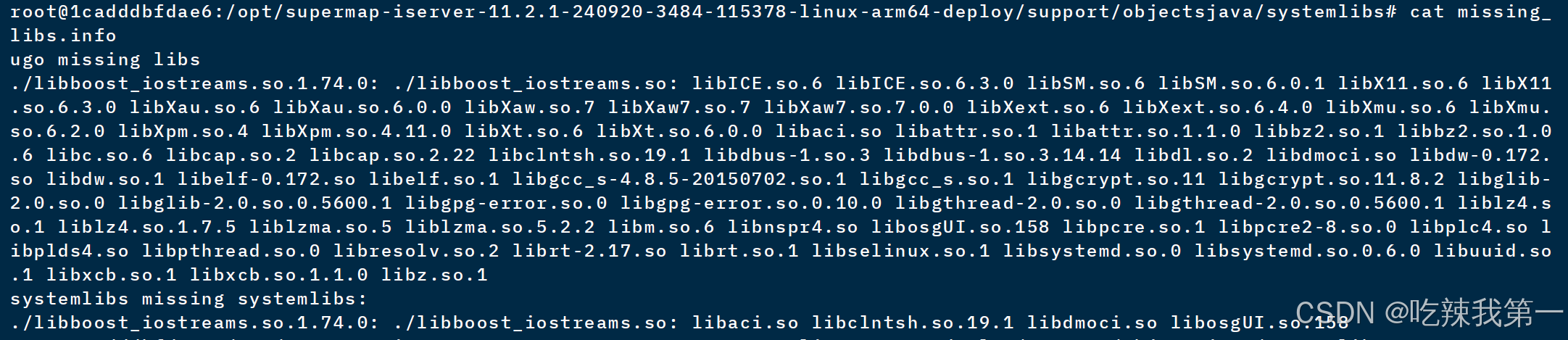 在X86平台模拟运行SuperMap iServer ARM版_supermap arm-CSDN博客