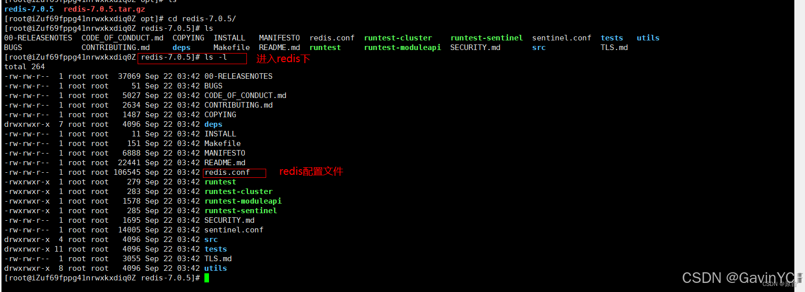 Linux下安装Redis_linux redis下载-CSDN博客