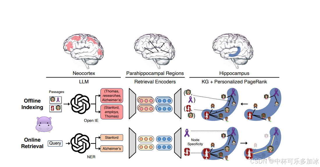 【RAG论文精读】给RAG引入海马体记忆索引理论HippoRAG: Neurobiologically Inspired Long-Term Memory for LLM-CSDN博客