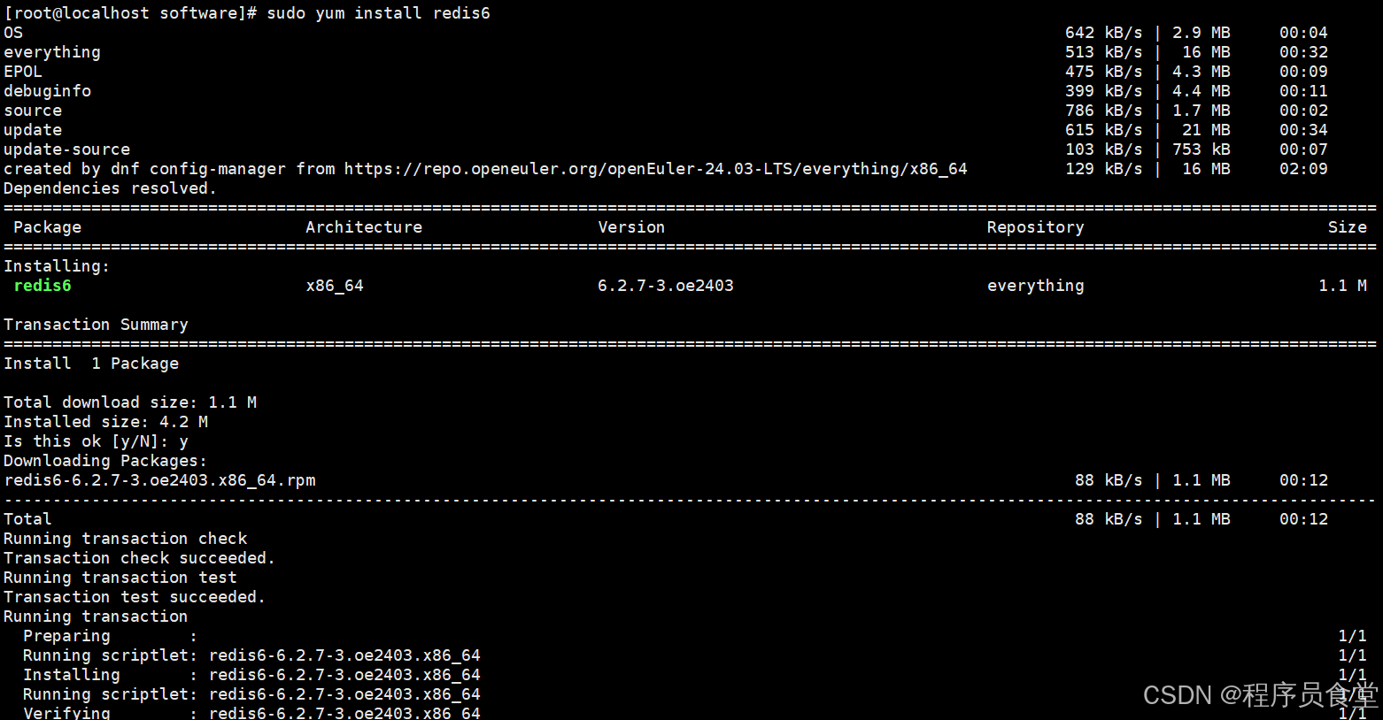 openEuler安装Redis 6.x-CSDN博客