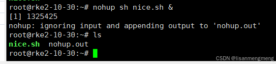 nohup 命令介绍和使用案例_nohup命令-CSDN博客