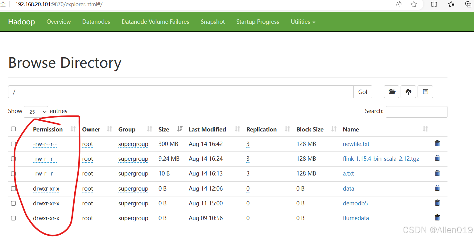 Hdfs(四)NameNode_hdfs namenode -format-CSDN博客