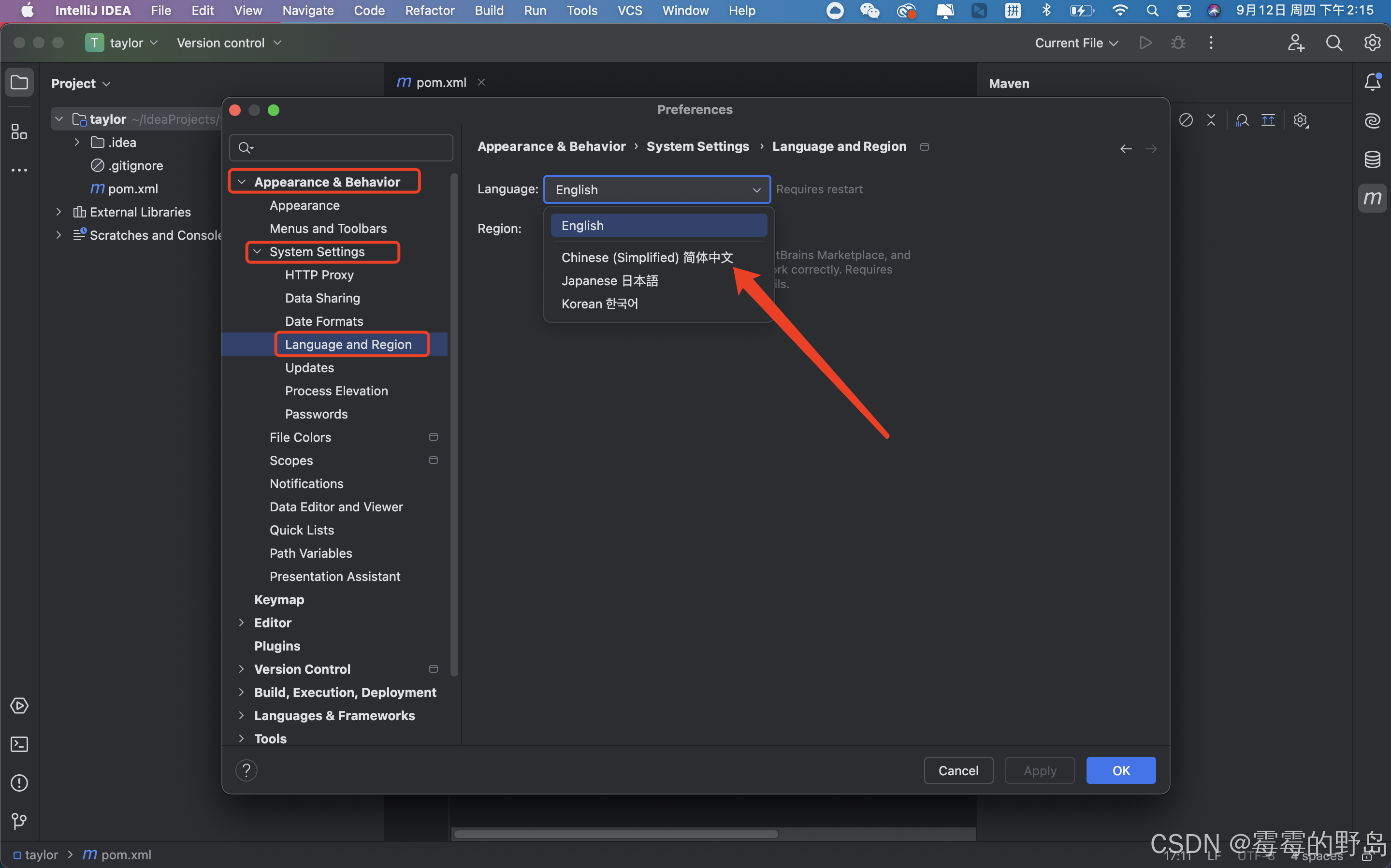 MacBookPro（M1芯片）安装Java开发环境及软件_mac安装java开发环境-CSDN博客