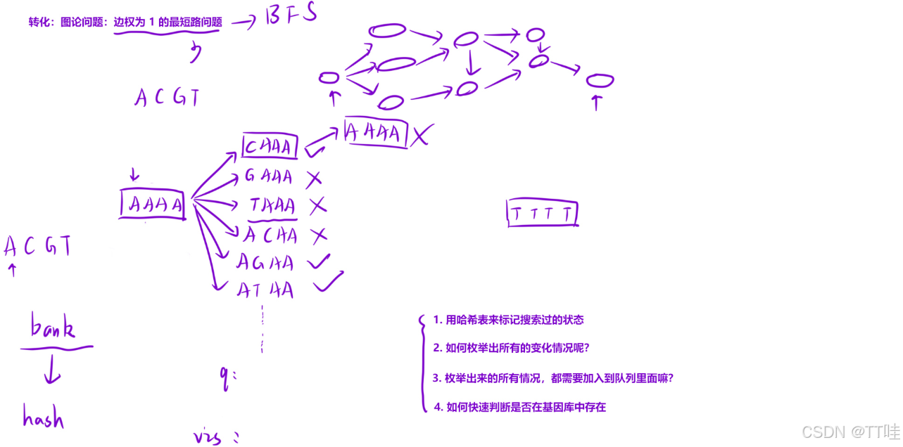 【BFS 解决最短路问题】2. 最⼩基因变化（medium）-CSDN博客