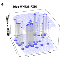 Nature Methods | CellNEST——利用注意力机制解析空间转录组中的细胞间中继网络_cellnest代码-CSDN博客