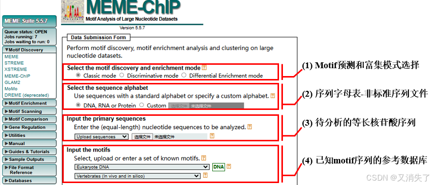 MEME-CHIP使用与结果分析-CSDN博客