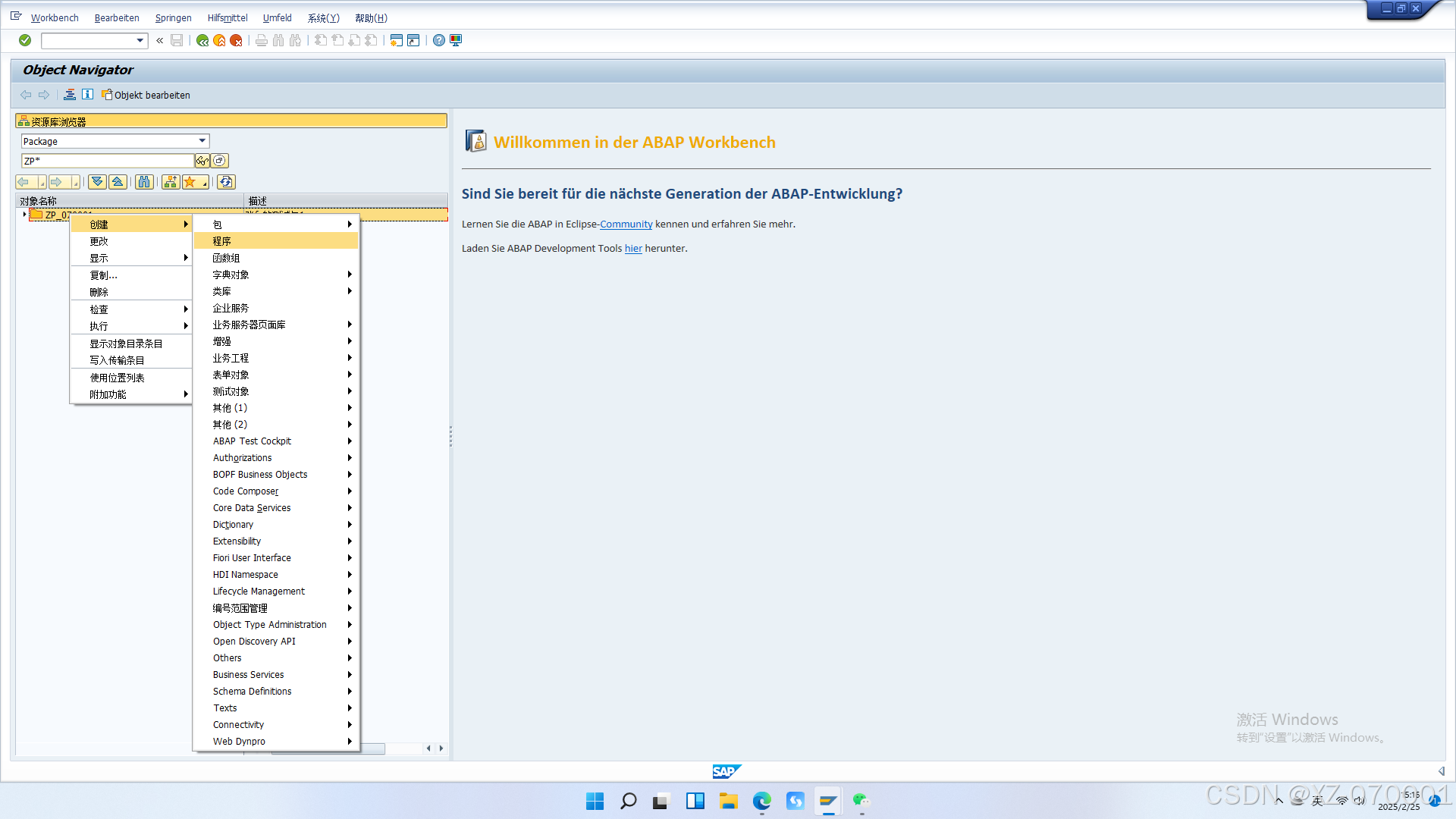08-SAP-从包创建可执行程序（se80）_sap se80-CSDN博客
