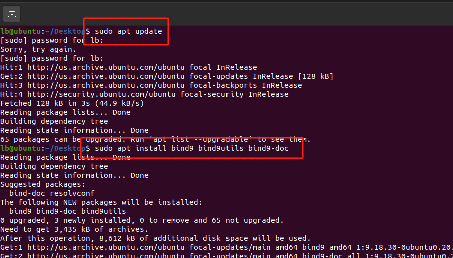 Ubuntu（Linux）环境中DHCP分配IP地址和搭建主从DNS服务器_ubuntu dhcp服务器搭建-CSDN博客