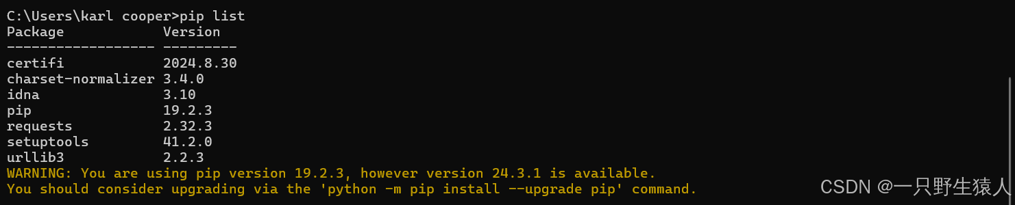 Python | pip常用指令教程_pip 查看镜像源-CSDN博客