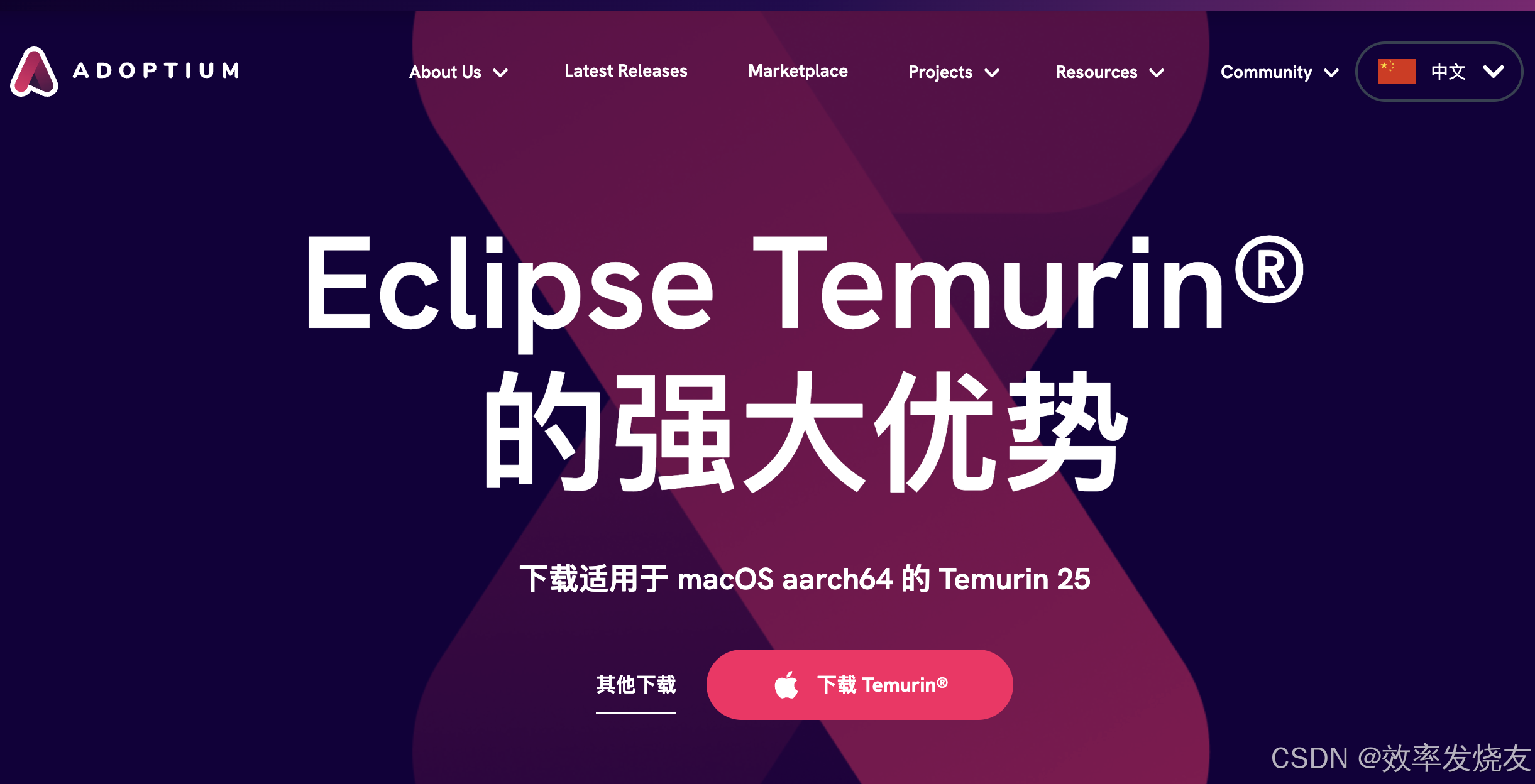 解决mac上用vscode打开java代码库后不能通过F12跳转到变量或方法定义的问题_sorry, something went wrong ...
