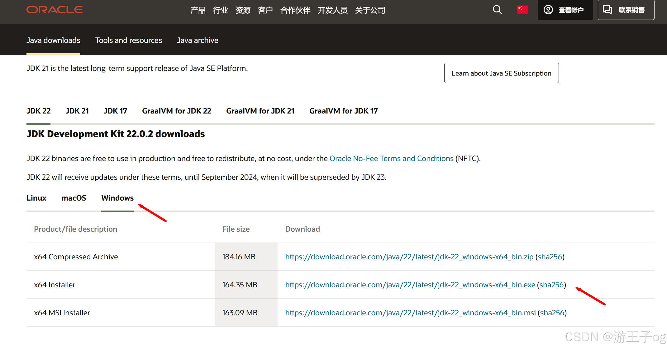 java语言入门-CSDN博客