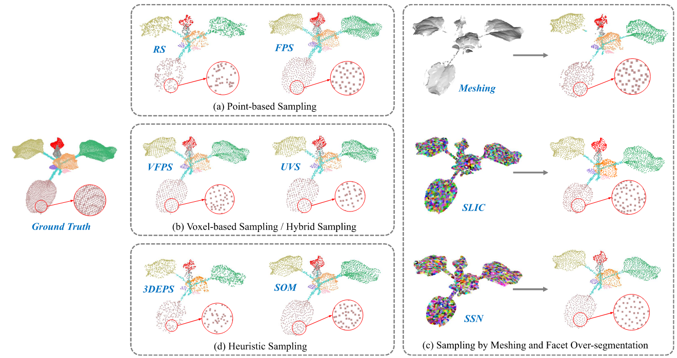 2.《Deep learning for three-dimensional (3D) plant phenomics》文章精读1031-CSDN博客