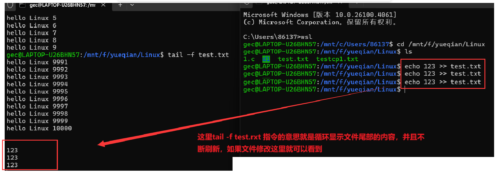 Linux指令(man,cp,mv,cat,more,less,head,tail)-CSDN博客