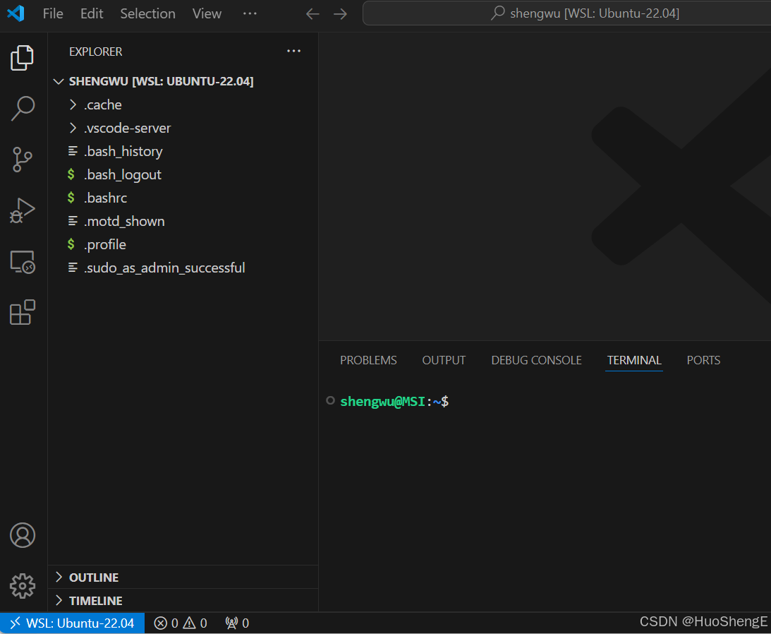 Win11使用vscode配置Ubuntu WSL并自定义home路径_windows11 wsl vscode-CSDN博客