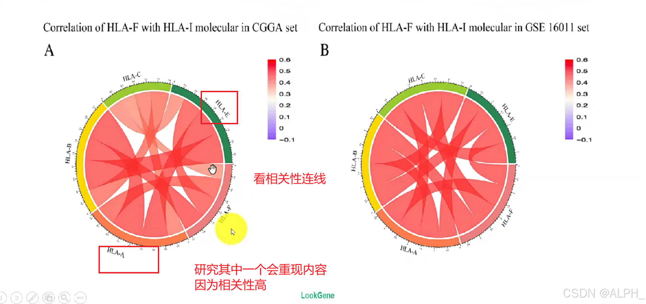 肿瘤免疫单基因分析流程_肿瘤hla分析-CSDN博客
