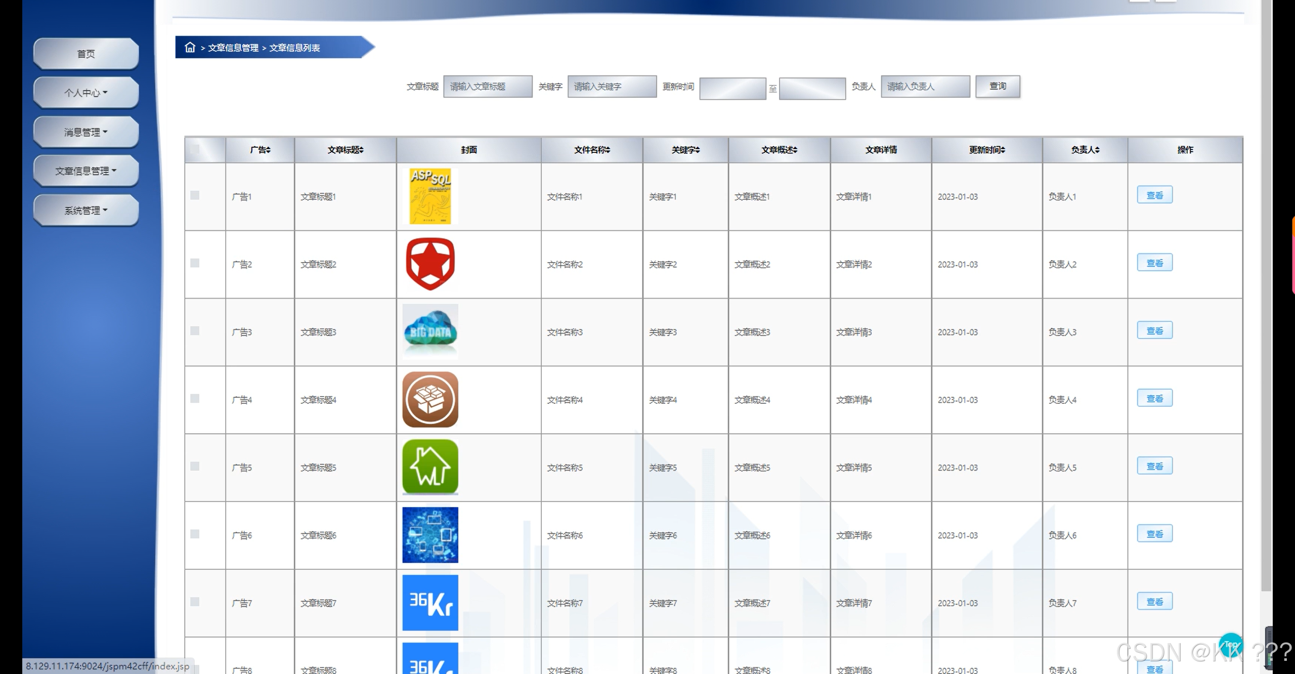 JavaWeb基于ssm的互联网专家服务平台系统(003)-CSDN博客