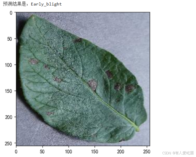 365打卡第7周——P7：马铃薯病害识别（VGG-16复现）-CSDN博客
