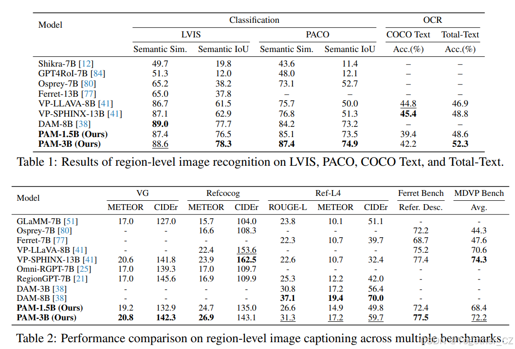 PAM：Perceive Anything: Recognize, Explain, Caption, and Segment Anything in Images and Videos感知 ...