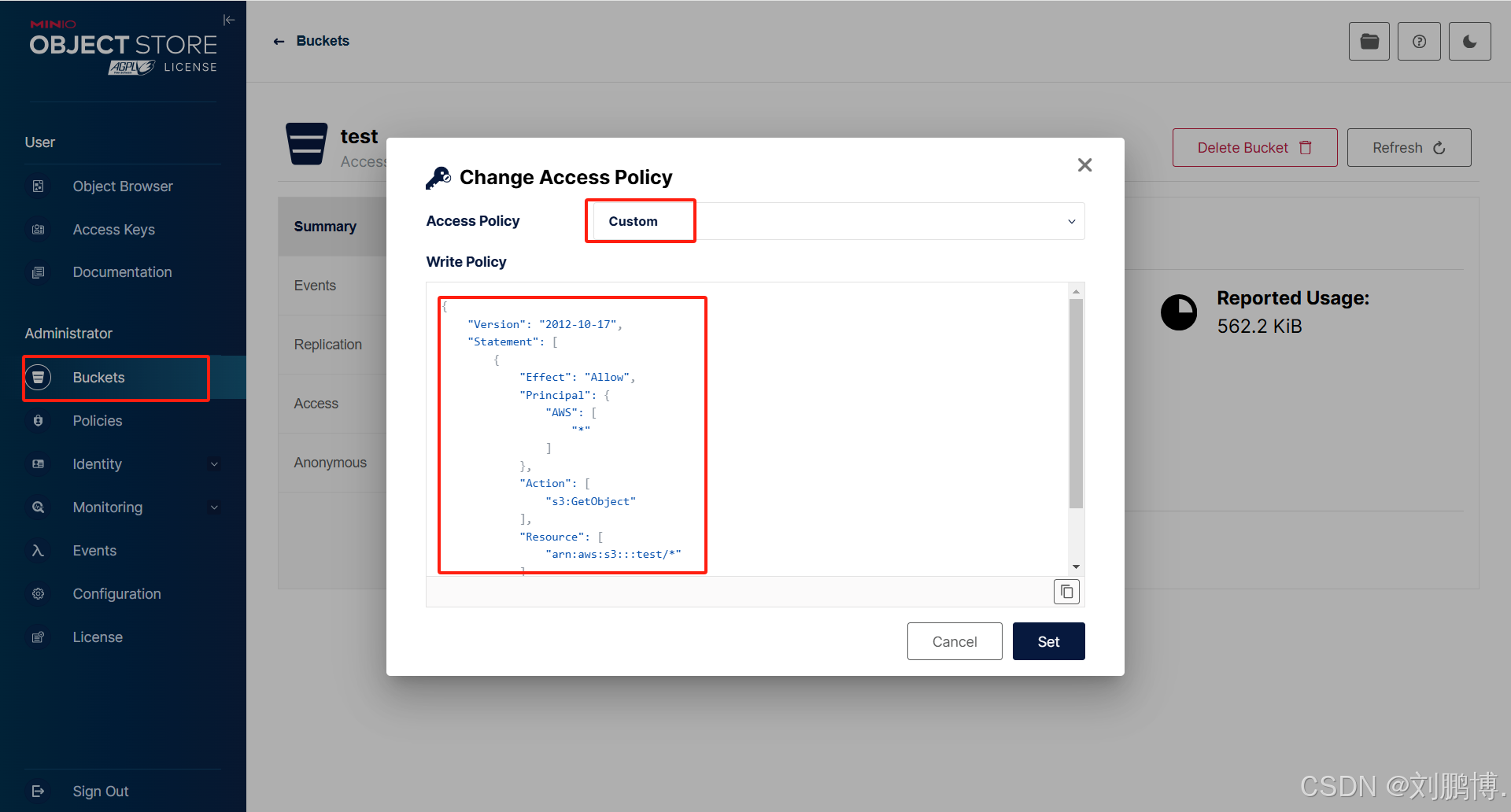 Linux安装MinIO实现域名预览图片_minio如何预览图片-CSDN博客