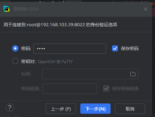 教程：Pycharm使用docker内的容器container作为环境_pycharm dev container-CSDN博客