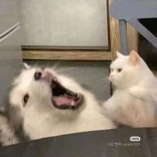 Linux环境下GPU版本的pytorch安装_linux安装gpu版本的torch-CSDN博客