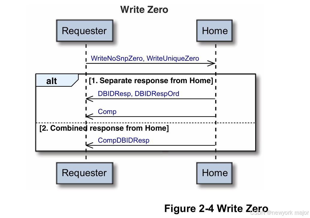 CHI trans简析--write zero_chi write zero-CSDN博客