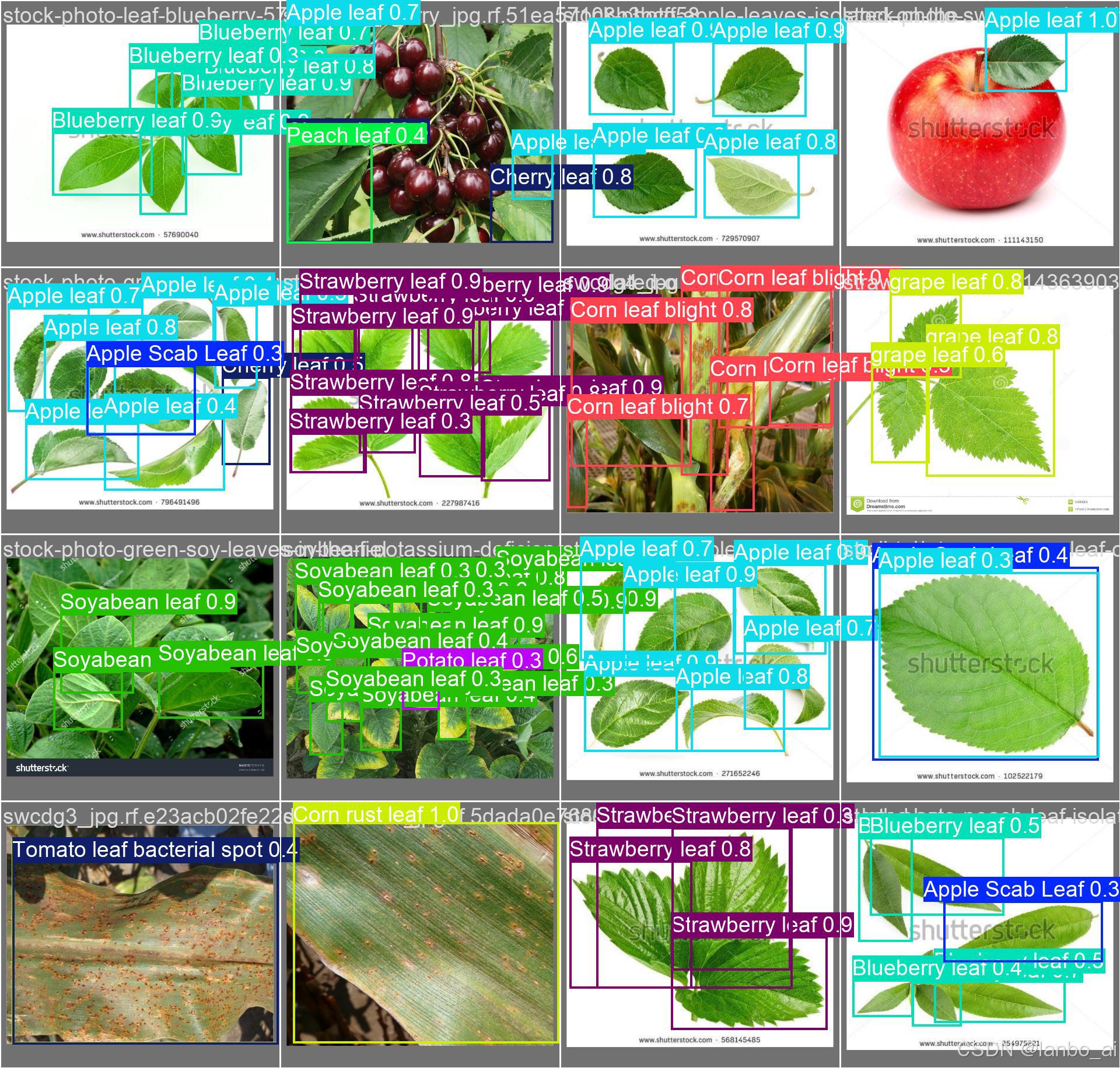基于yolov11的农作物病害检测系统，支持图像、视频和摄像实时检测【pytorch框架、python源码】yolov11pyqt5 农作物 Csdn博客
