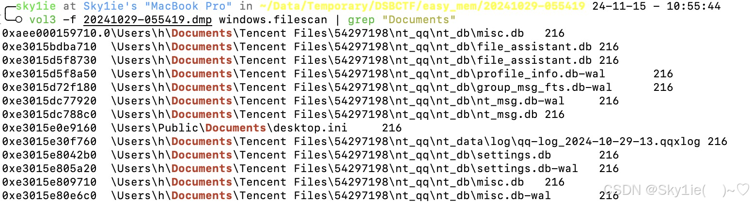 ctfshow 单身杯Misc easy_mem_ctfshow单身杯misc-CSDN博客