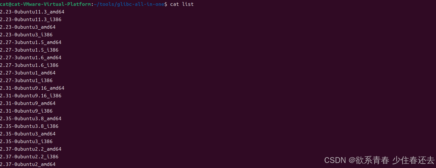 【ubuntu24 pwn环境搭建】_ubuntu 24-CSDN博客