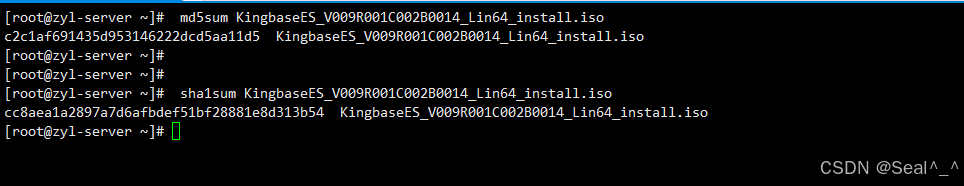 Linux系统命令行安装 KingbaseES V9详细步骤_linux安装kingbase-CSDN博客