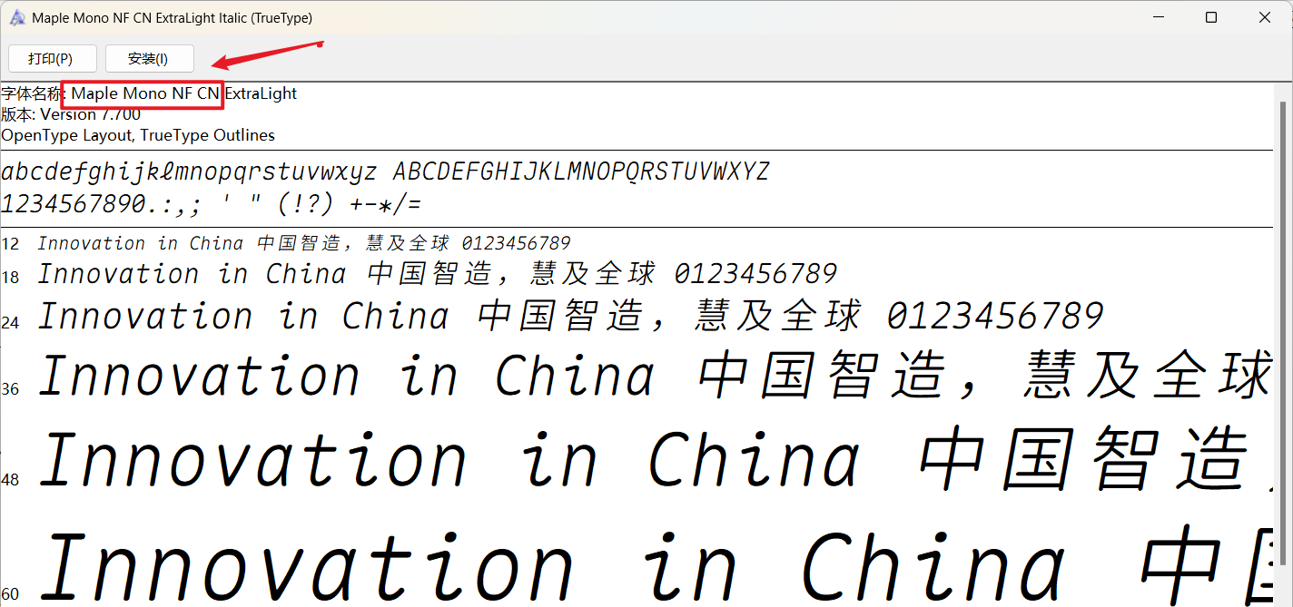 VSCode安装Maple Mono NF CN字体-CSDN博客