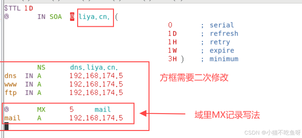 Linux学习总结之CentOS7-DNS配置_centos dns配置-CSDN博客