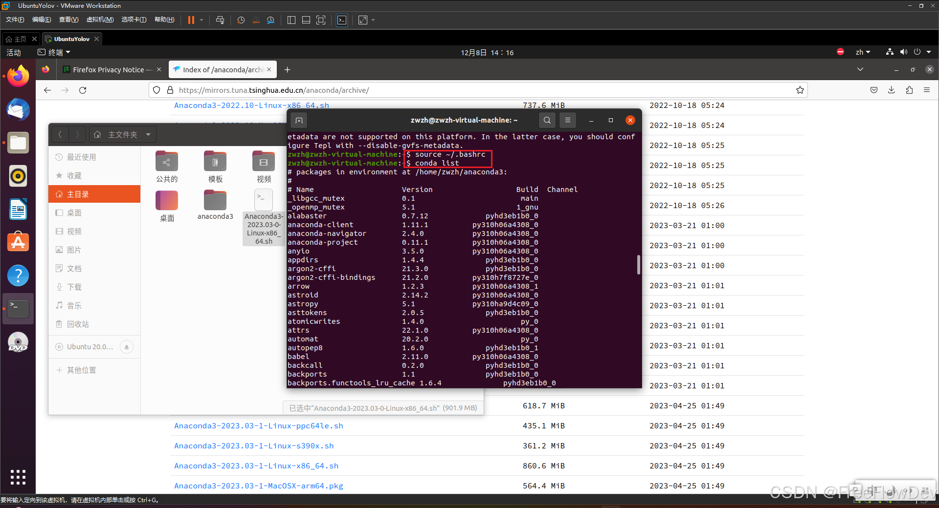 Linux下配置Yolov5_linux yolov5-CSDN博客