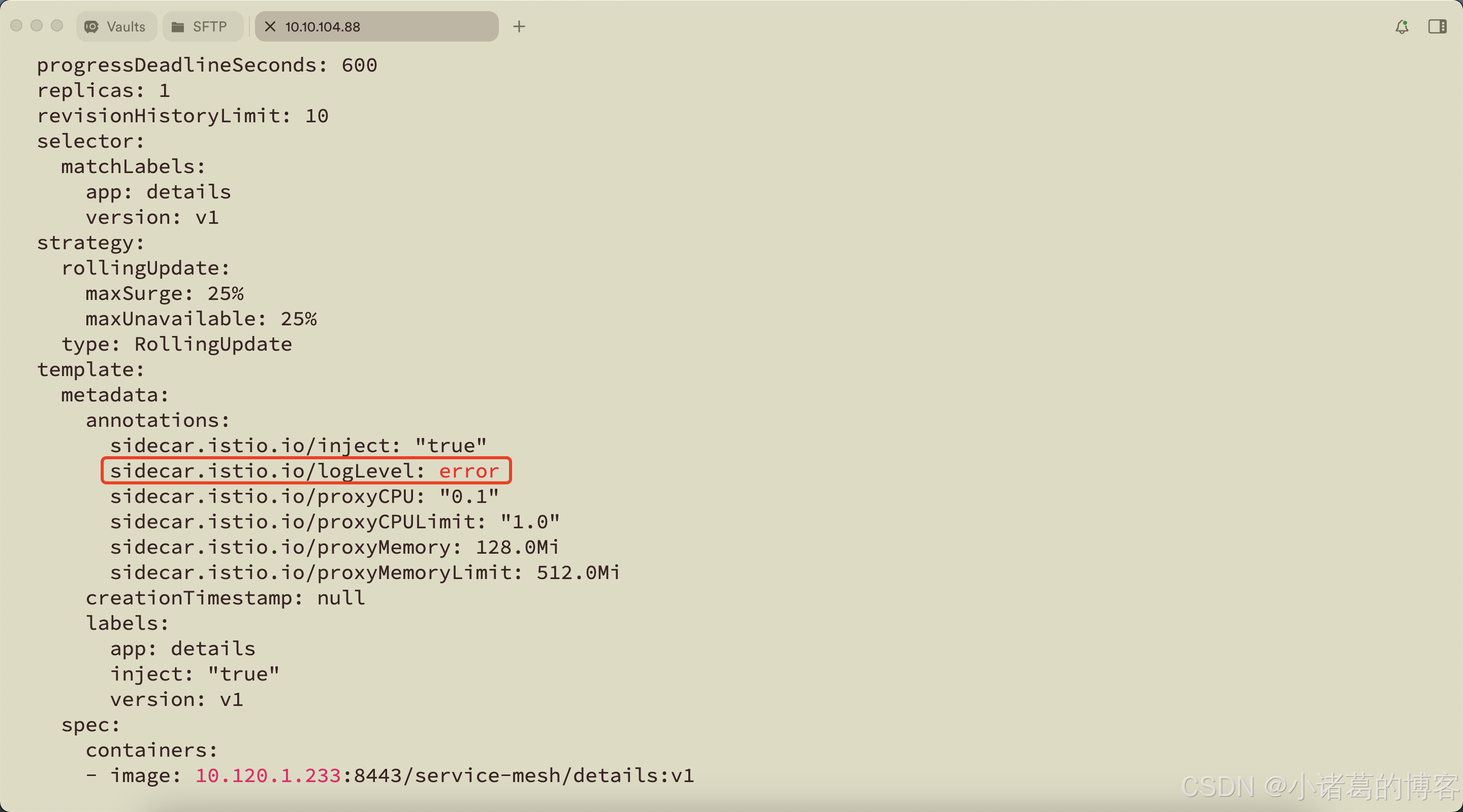 istio如何如何设置sidecar日志级别_istio sidecar proxy日志级别-CSDN博客