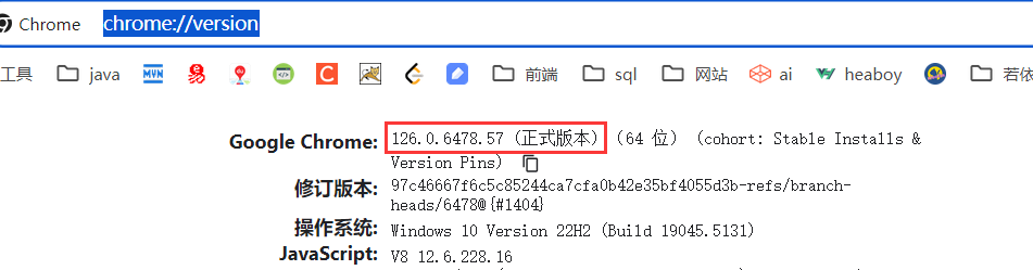 Selenium详解_csdn selenuim-CSDN博客