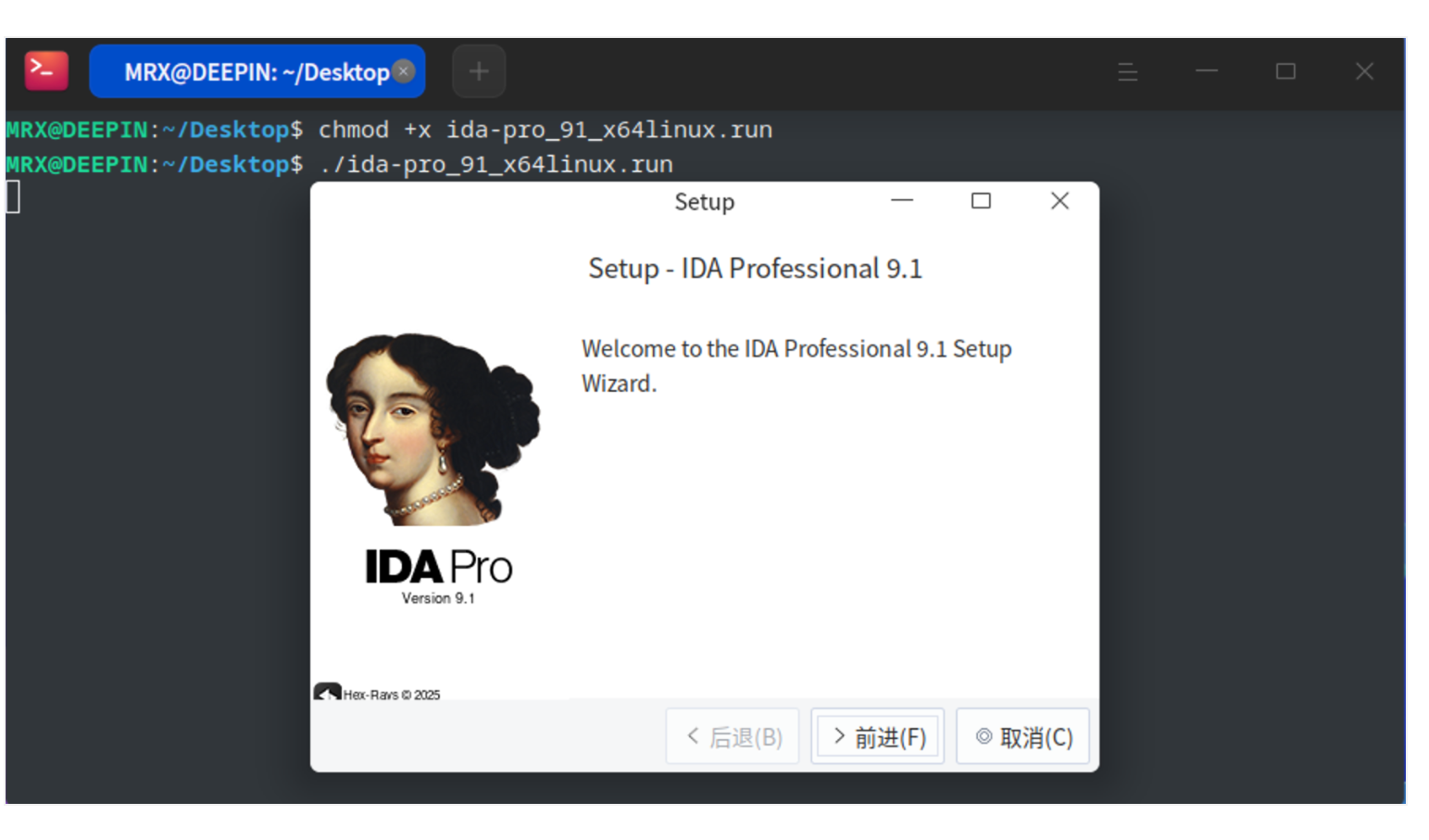 IDAPRO-9.1LINUX安装_ida pro linux-CSDN博客